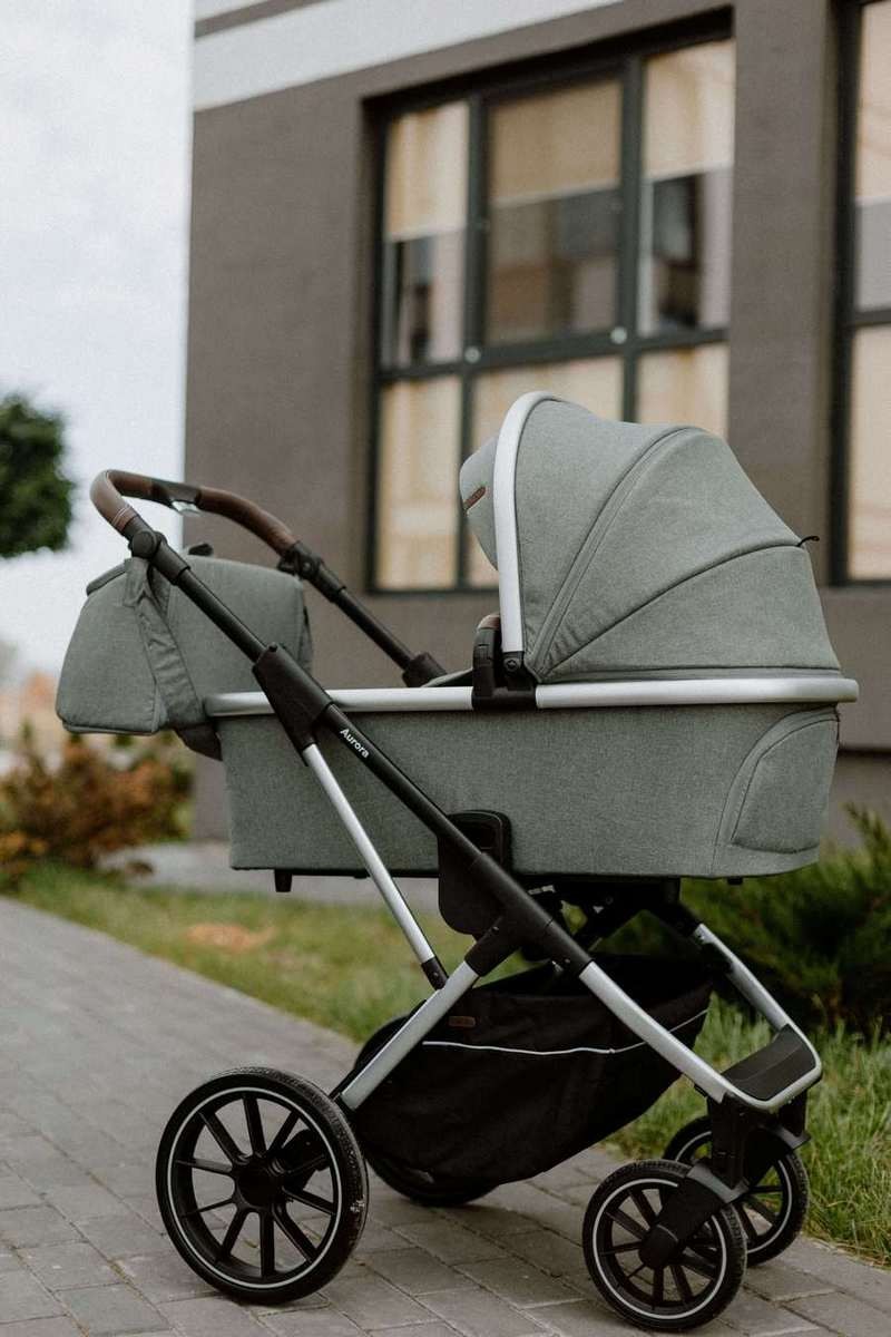 Коляска 2 в 1 Carrello Aurora CRL-6505 Silver Grey 2023: купить, цена ...